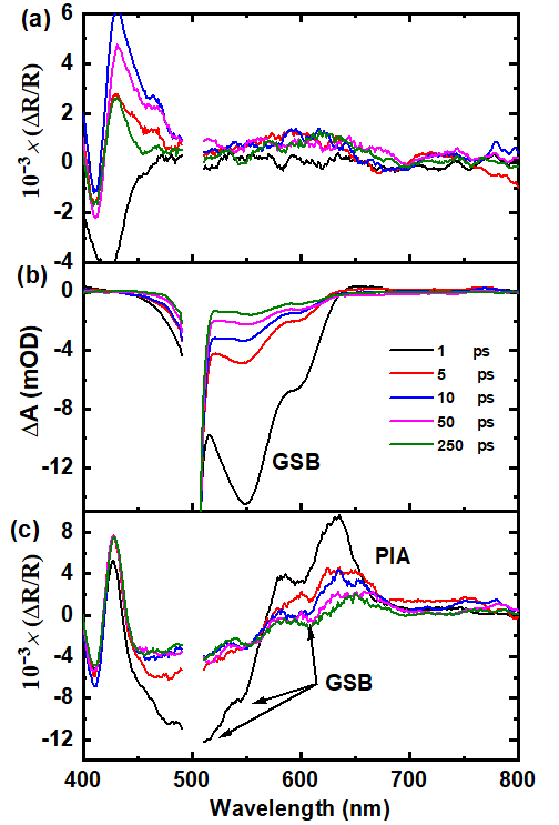 Spectroscopy--SIMTRUM, Your photonics products and technological ...