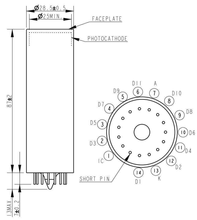 Photomultiplier Tube Head-On (Tube Only) | SIMTRUM Photonics Store
