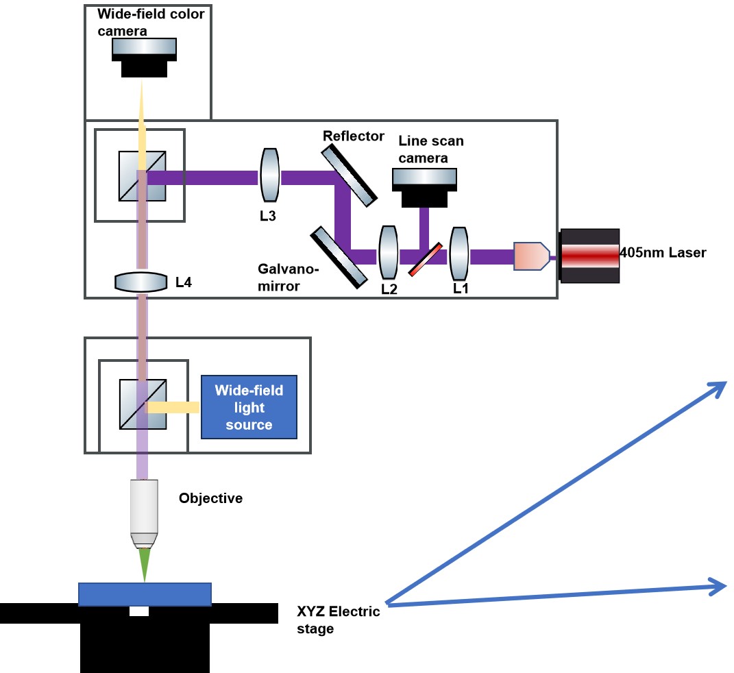 Industry Line Scan Confocal Microscope | SIMTRUM Photonics Store