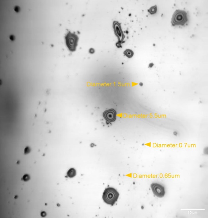Laser Line Scan Confocal Microscope | SIMTRUM Photonics Store