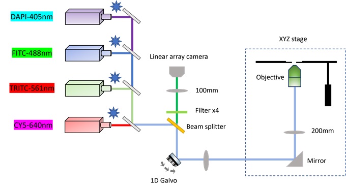 Laser Line Scan Confocal Microscope | SIMTRUM Photonics Store