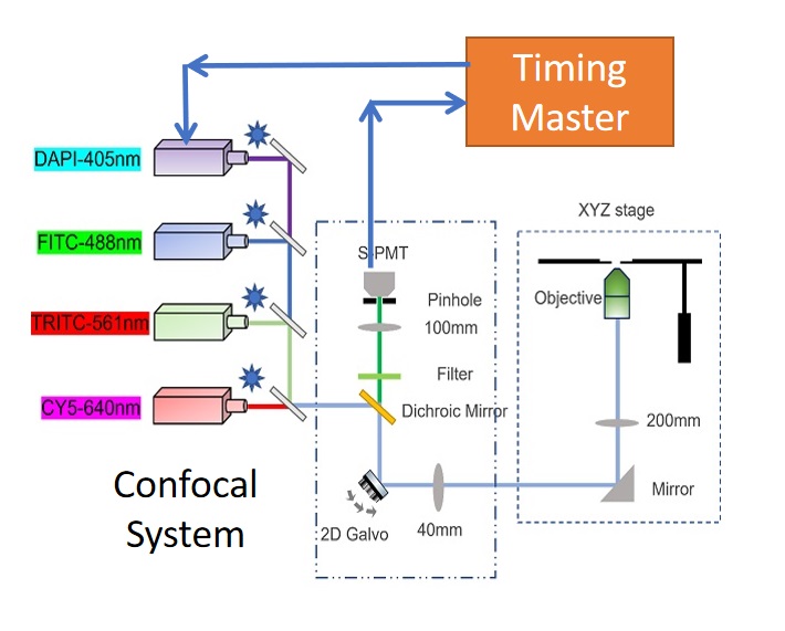 Laser Line Scan Confocal Microscope | SIMTRUM Photonics Store