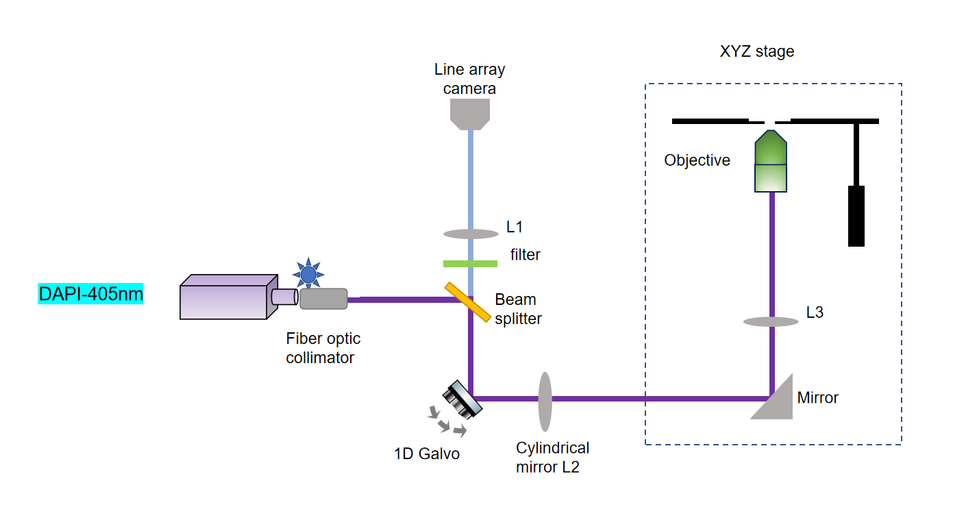 Laser Line Scan Confocal Microscope | SIMTRUM Photonics Store