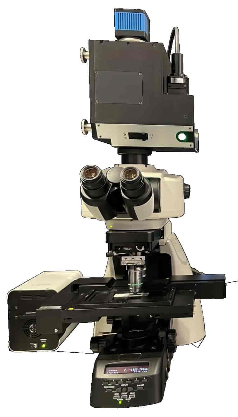 Spinning Disk Confocal Microscope | SIMTRUM Photonics